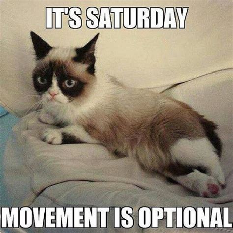 101 Funny Saturday Memes Will Make You Laugh From Morning Till Night