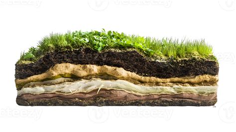 Detailed Cross Section Of Soil Layers With Moss And Grass 56487311 Png