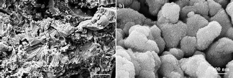 A Sem Micrograph Of The Fractured Cross Section Morphology Of The