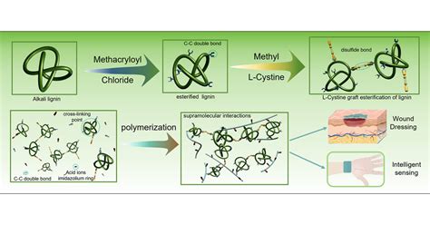 Ultrahard And Ultraflexible Supramolecular Hydrogel With Superenergy Dissipating Structure For