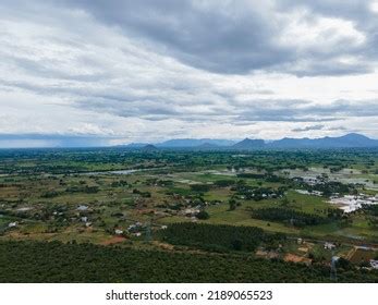 Coconut Tree Aerial Images Stock Photos Vectors Shutterstock