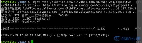缓冲区溢出漏洞实验 蓝桥云课 缓冲区溢出漏洞实验 蓝桥云课