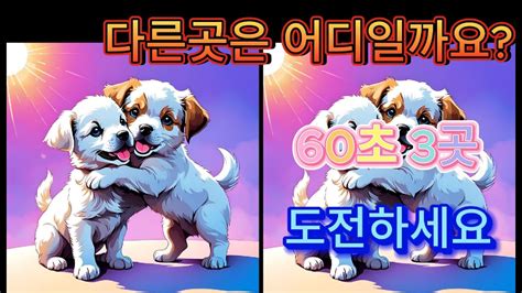 다른그림찾기 틀린그림찾기~찾다가 스트레스 받지 마세요~누구나 가능한 틀린3곳찾기~이 정도는 찾을 수 있을 거에요
