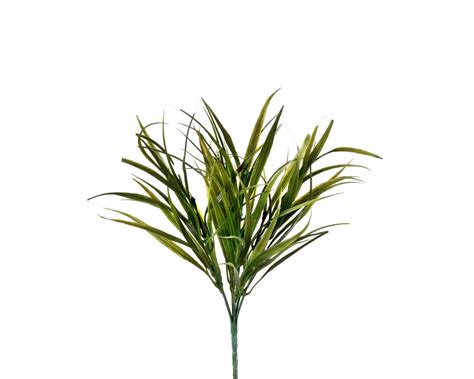 Vanilla Grass 14 Bush Green Cmc