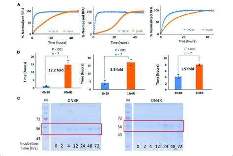 Pair Wise Aggregation Kinetics Comparison Of 3r And 4r Tau Isoforms