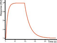 Exponential