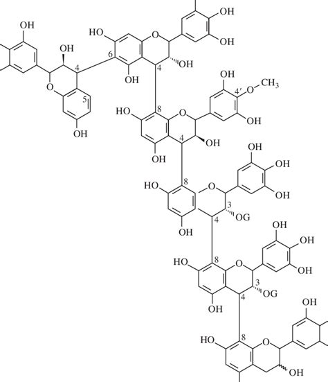 Possible Chemical Structure Of Proanthocyanidins Polymer Of Molecular Download Scientific