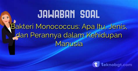 Bakteri Monococcus Apa Itu Jenis Dan Perannya Dalam Kehidupan