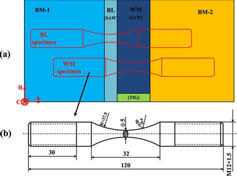 Schematic Of The Specimen Preparation And Fatigue Test Specimen A Bl