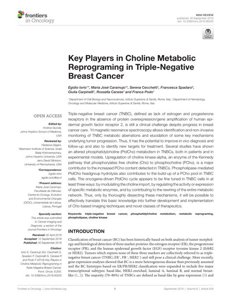 Pdf Key Players In Choline Metabolic Reprograming In Triple Negative Breast Cancer