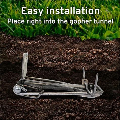 easy set gopher trap plant addicts