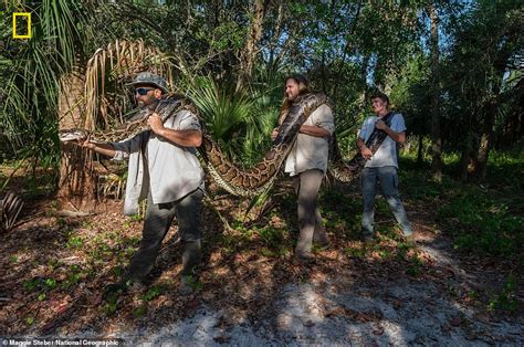 Burmese Python Weighing 215lbs And Measuring Nearly 18ft Long Found In Florida Daily Mail Online