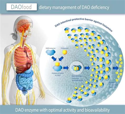 Dao Food Enzima Dao Puedes Reforzar Tu Sistema Digestivo En Venta En