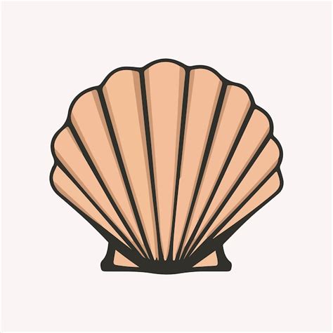 Premium Vector Shells Vector Clipart Art Image With A Solid White
