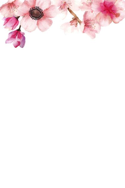 여백 있는 꽃그림 배경사진 61장 네이버 블로그 꽃그림 예쁜 월페이퍼 꽃 배경