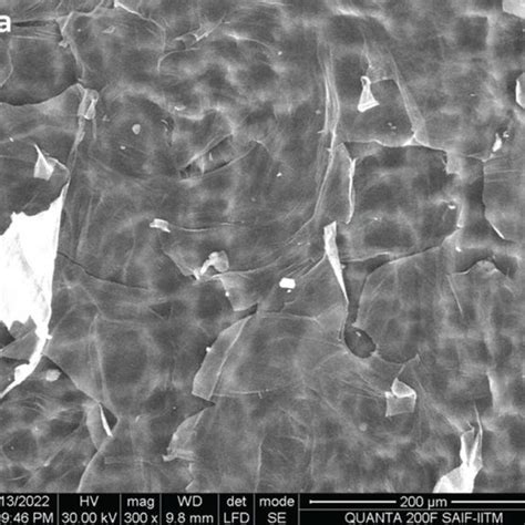 Edx Patterns Of A Unmodified Gp And B Modified Gp Download