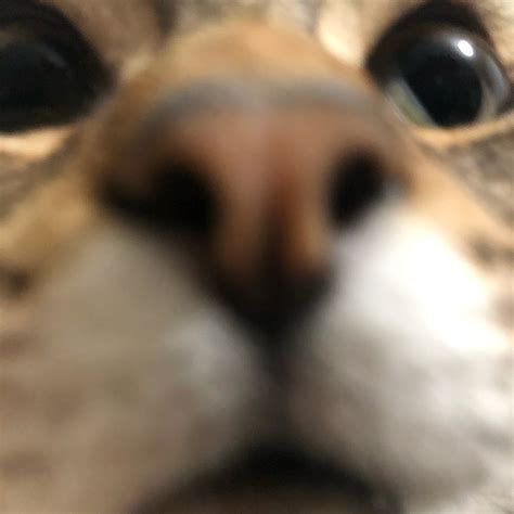 Silly Ash ꩜ ☆ Youtube