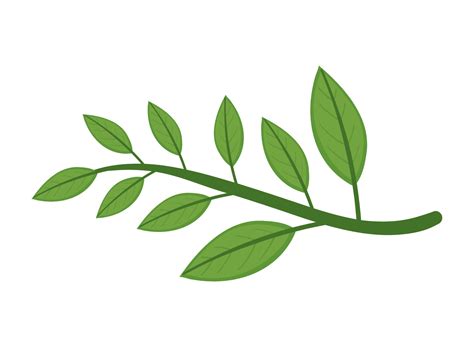 Matcha Leaves Icon 16754709 Vector Art At Vecteezy