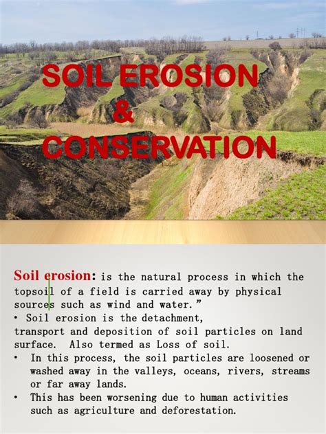 Soil Erosion 5 Pdf Erosion Soil