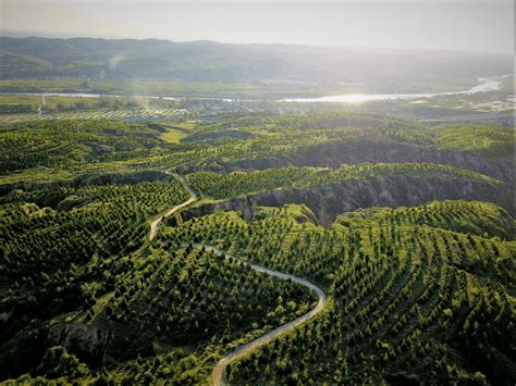 榆阳区今年计划完成营造林20万亩工作