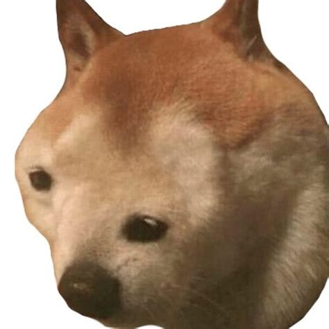 Stream Site Zero Oak Snare Scutoid Remix By Scutoid Listen Online