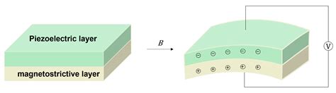 Flexible Magnetic Sensors