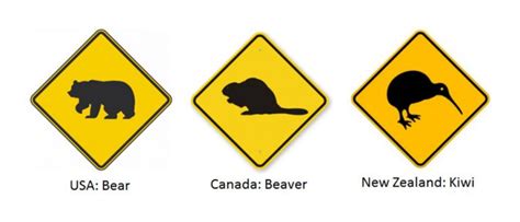 The Difference Between Road Signs Around The World Front Signs