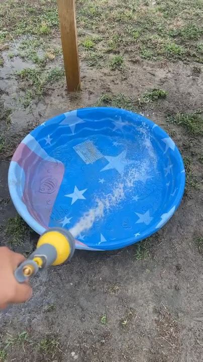 Perro Flash Meme Subido Por Kaleno87 Memedroid