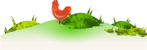 All About Egg Yolk Color