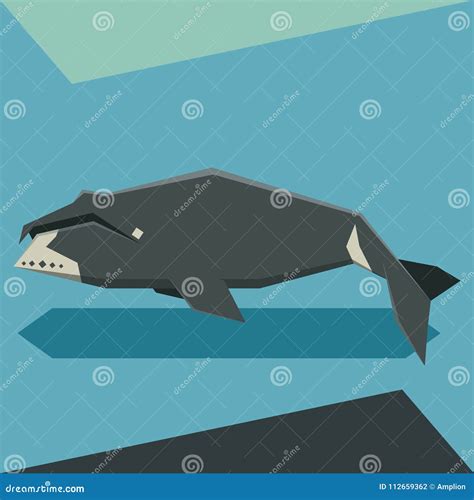 Flat Design Bowhead Whale Stock Vector Illustration Of Beautiful