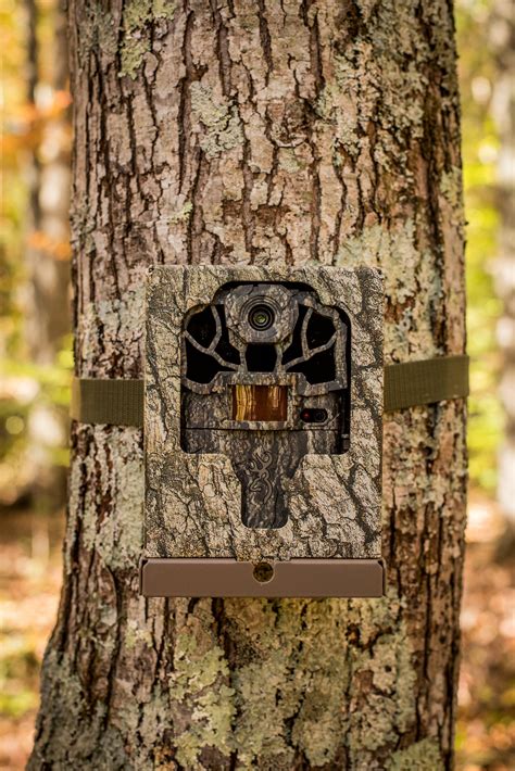 Browning Trail Cameras