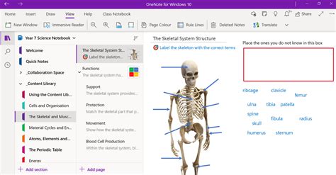Using Onenote Class Notebook For Student Eportfolio Support And Using Onenote Class Notebook For Student Eportfolio Support And
