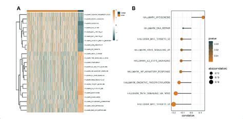 Gsva Results Based On Hallmark Gene Sets A Heat Map Of Differential Download Scientific