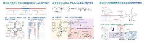 澳科大中药质量研究国家重点实验室在核糖核酸修饰研究上取得重要进展 澳门科技大学 科大新闻