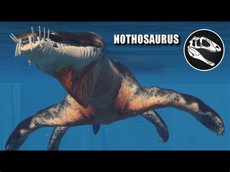 Nothosaurus Tue April 9 2024 Nothosaurus Size 4 To 7 M Long Diet