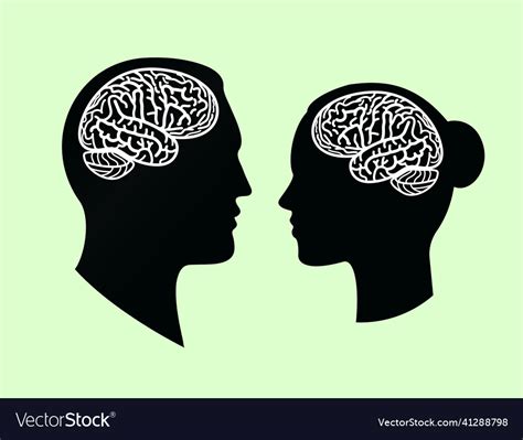 Brain Convolutions In Male And Female Black Human Vector Image