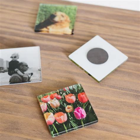 Parabo Press Acrylic Magnets