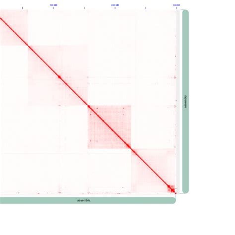 Hi C Interaction Frequency Map Shows Four Chromosomes 477 Download