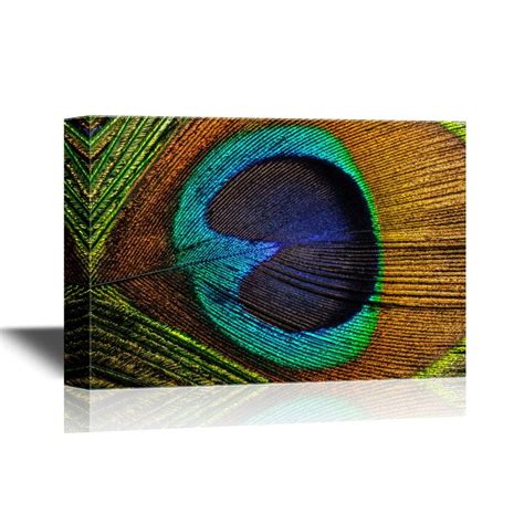 Wall26 Canvas Wall Art Peacock Feather Gallery Wrap Modern Home