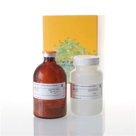 Bright Glo Luciferase Assay System E2620 East Port Praha