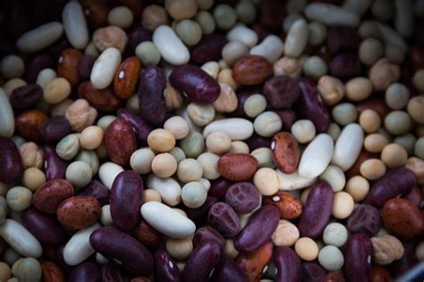 Civil War Cookin Army Beans Emerging Civil War