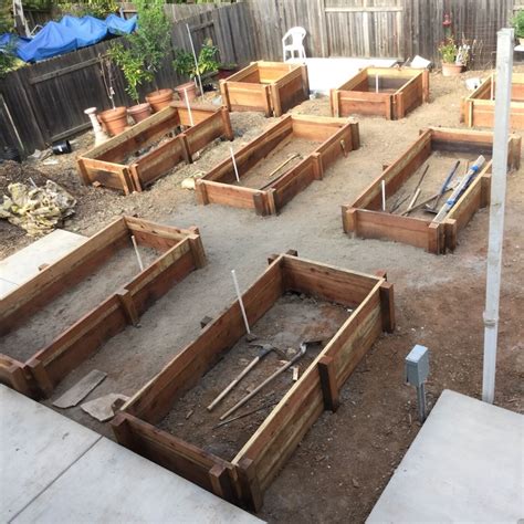 Garden Basics With Farmer Fred 307 First Garden New Garden We Have Tips