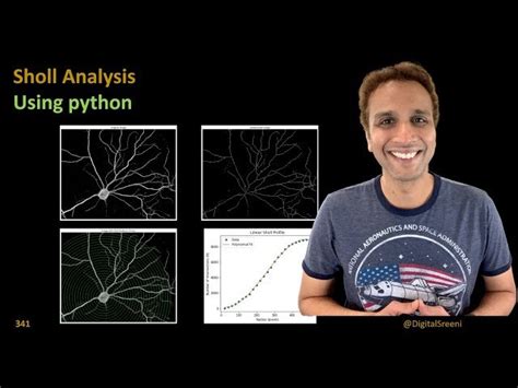 Free Video Sholl Analysis Using Python Quantifying Neuronal