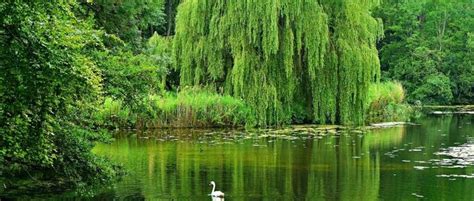 第63届imo中国国家队名单公布4人高二，1人高一，1人高三 知乎