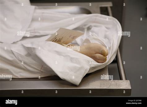 Dissection De Cadavre Banque De Photographies Et Dimages à Haute
