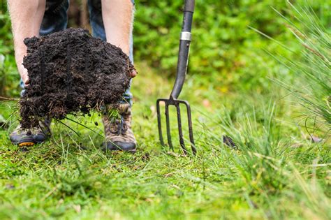 Premium Photo Farmer Holding Soil Taking A Soil Sample For A Soil