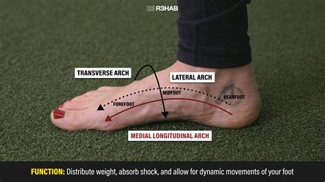Foot And Ankle Strength E3 Rehab