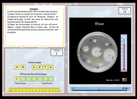 Réaliser Un Antibiogramme Le Corps Humain Et La Santé Louisa Paulin