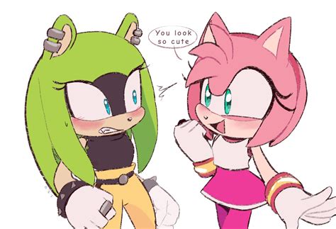 23063 Safe Artist Sonicnewunivers Amy Rose Surge The Tenrec 2024