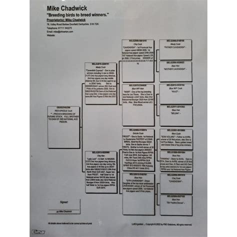 Gb24s82019 Red Grizzle Sex Line “cavendish” “frost” X “inbred Olympic Rico”